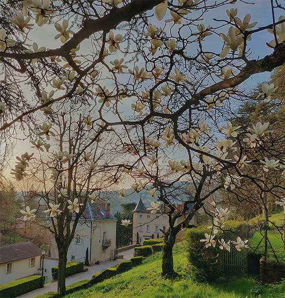 Détendez-vous - Booking LyonCountryHouse